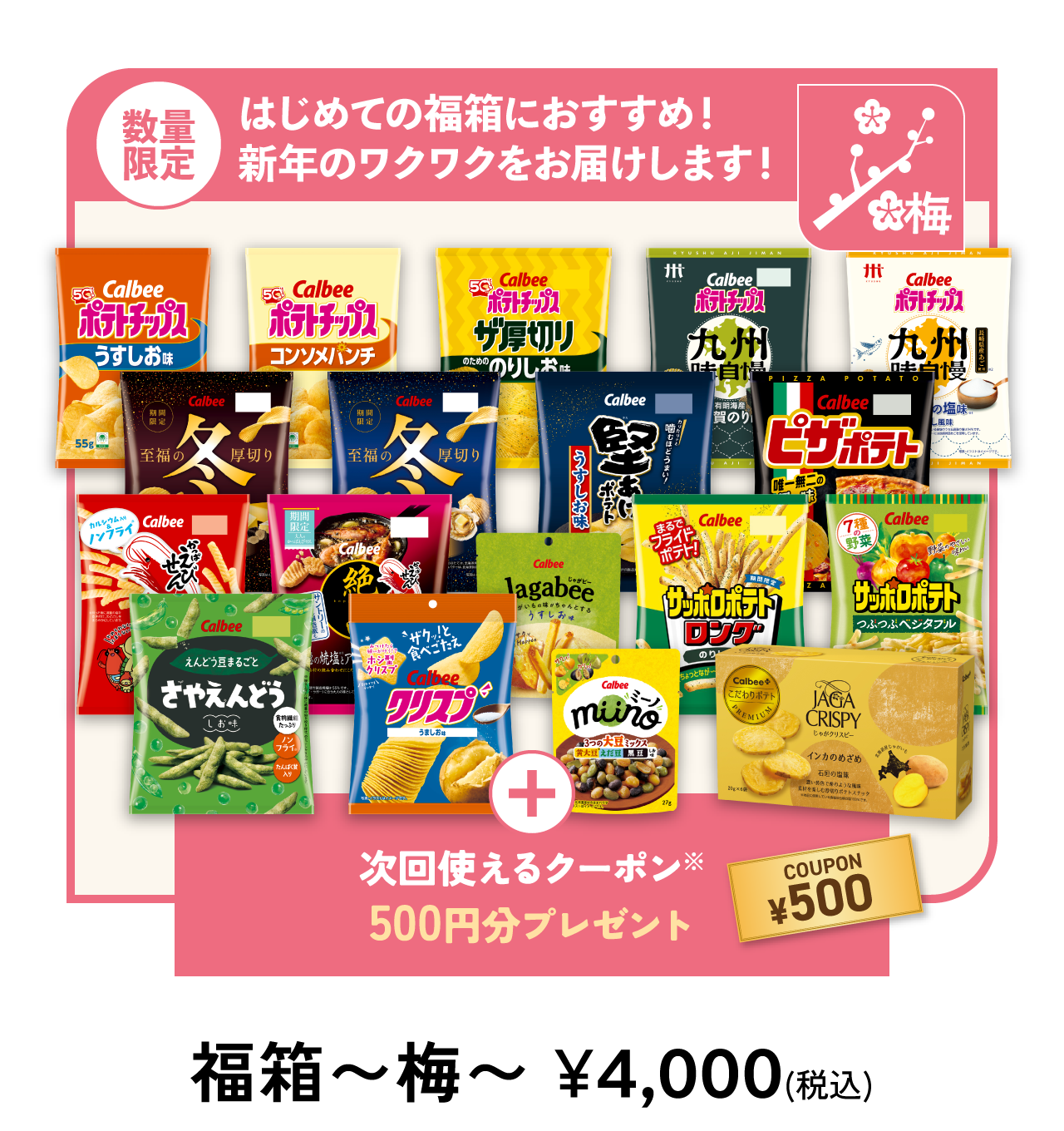 カルビー公式オンラインショップ ｜ カルビーの福箱2026